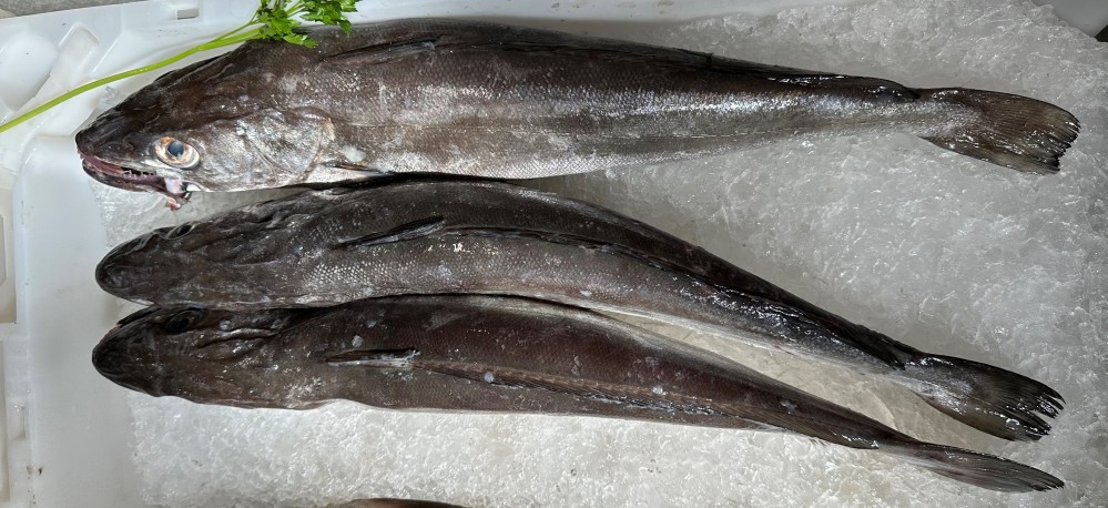 Fisch Schälte ️ Haan: Seafood vom Feinsten